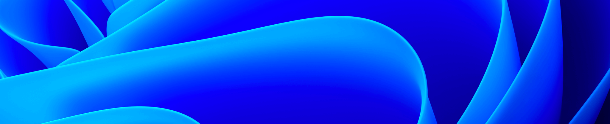 Microsoft Windows 11